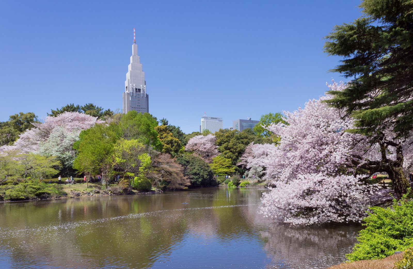 Taman Terindah Yang Terdapat Di Tokyo, Jepang